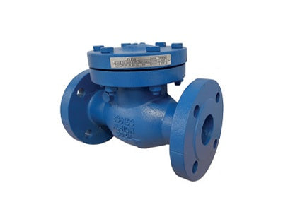 PN25 Cast Iron Swing Check Valve — BEE - The SMART Heating Merchants